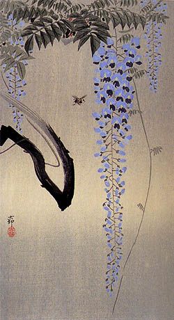 Haiku (13) – Pháp Hoan – PHÁP HOAN | 法歡