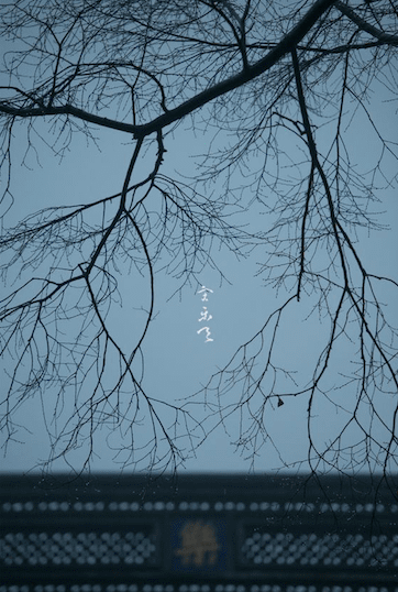 Waka (336) – Sojo Henjo (僧正遍照; Tăng Chính Biến Chiếu) – PHÁP HOAN | 法歡